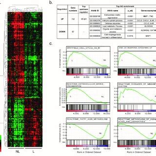 Molecular Signature Of SCCs A Unsupervised Hierarchical Clustering Download Scientific