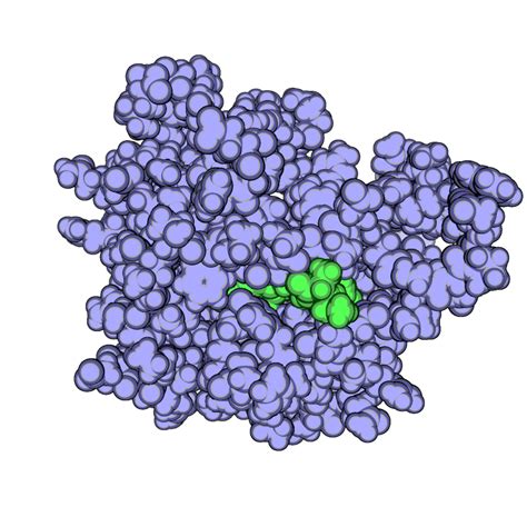 Ray Pymol Wiki