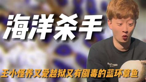 王小怪玩命养毒性生物，与越狱章鱼斗智斗勇，另类科普意外救人影视纪录片好看视频