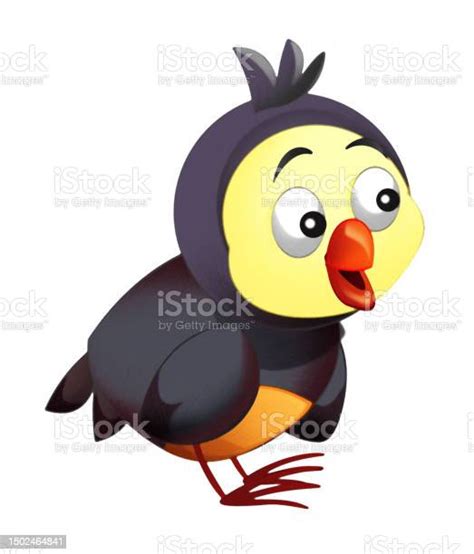 만화 다채로운 새가 날아다니며 재미있는 감정을 느끼며 어린이 예술적 그림 장면을 위한 고립된 삽화를 선보인다 귀여운에 대한 스톡 벡터 아트 및 기타 이미지 Istock