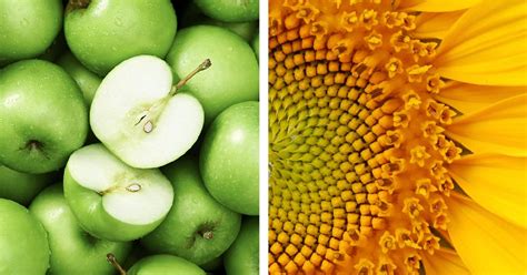 Oral Allergy Syndrome Allergy Cross Reactivity Allergy Insider