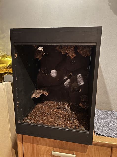 Terrarium 45x45x60 Gliwice Kopernika • OLX.pl