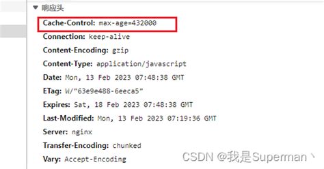【优化】nginx设置浏览器缓存 nginx max age csdn博客
