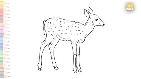 Fawn Easy Drawing How To Draw Fawn Step By Step Baby Deer Drawing Easy Drawing Videos