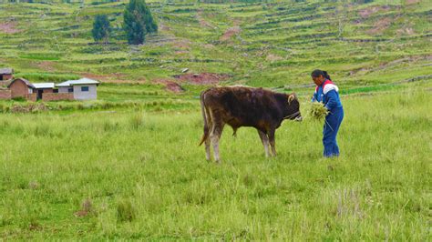 Indigenous Agricultural Practices May Be The Alternative To Plant Based Protein