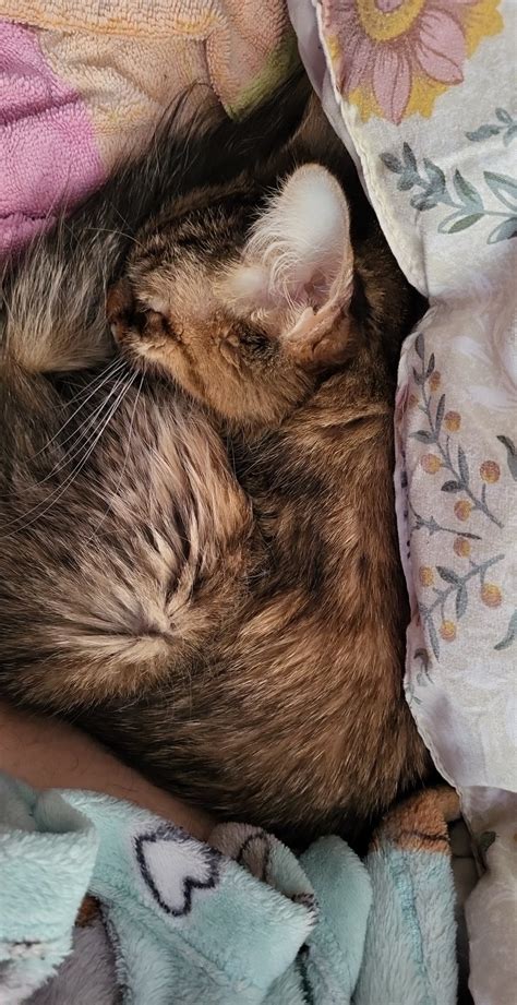 Khoi Dao On Twitter Everyone Please We Need To Focus On This