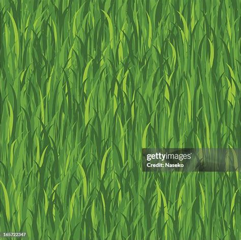 Seamless Grass Pattern Photos And Premium High Res Pictures Getty Images