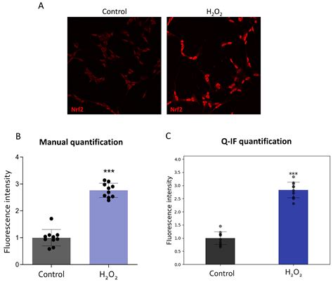 Advancing Biological Research New Automated Analysis Of Immunofluorescence Signals