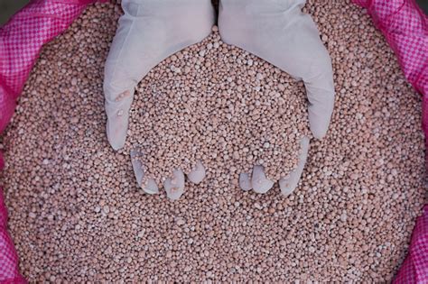 농부 손에서 비료입니다 Npk 비료 3 요소 비료는 질소 인 칼륨을 제공 하는 가방에 대한 스톡 사진 및 기타 이미지 가방 농업 농장 Istock