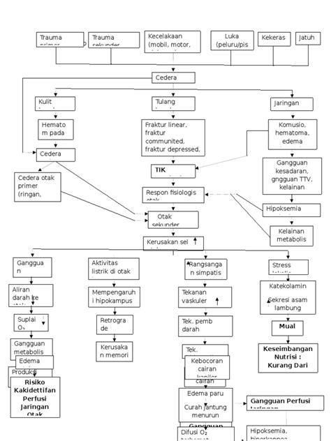 Pathway Cedera Kepala Pdf