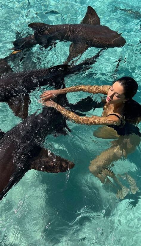 Beach Aesthetic Summer Aesthetic Summer Feeling Summer Vibes Ocean Girl Ocean Vibes Marine