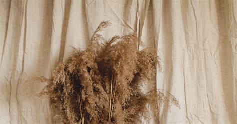 점토 꽃병 팜파스 잔디 베이지색 린넨 천을 배경으로 보헤미안 깔개에 고리 버들 바구니에 말린 프로테아 꽃 분위기 있는