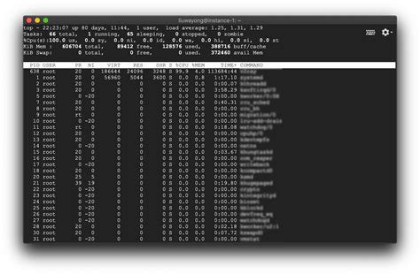 Linux 中查看进程及资源使用情况 Bloger11 博客园 Linux 中查看进程及资源使用情况 Bloger11 博客园