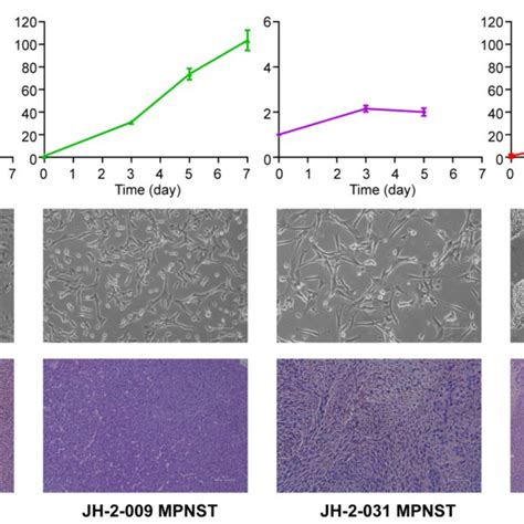 Technical Validation Of Rna Seq Data A Boxplot Of Normalized Counts