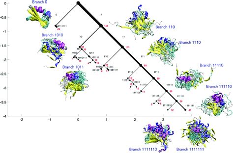 Atomistic Protein Folding Simulation The Scsc Dendrogram For Protein