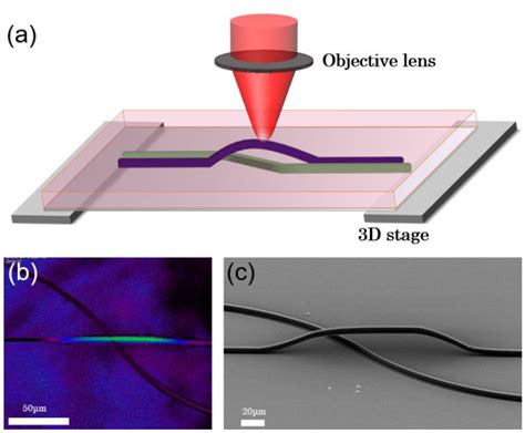 Femtosecond Laser Direct Writing Of Optical Overpass