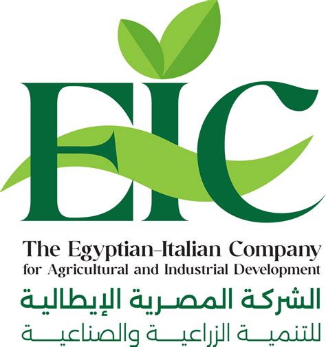 الرئيسية English الشركة المصرية الإيطالية