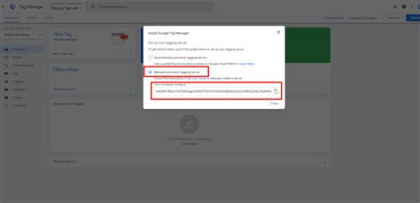 Web Server Side Container Setup Conversios