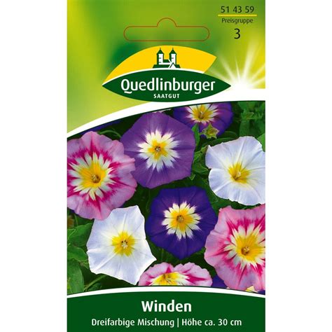 Winde Dreifarbige Mischung Samen Von Quedlinburger Saatgut Hornbach