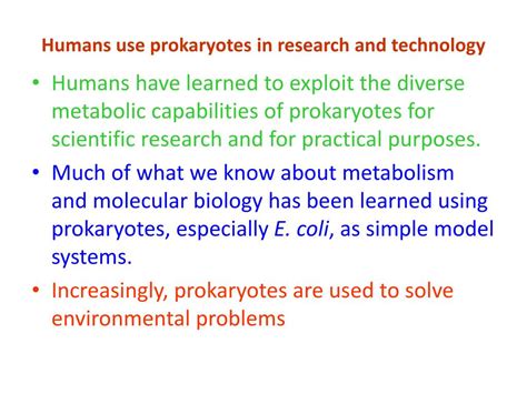 PPT Chapter Prokaryotes PowerPoint Presentation Free Download ID