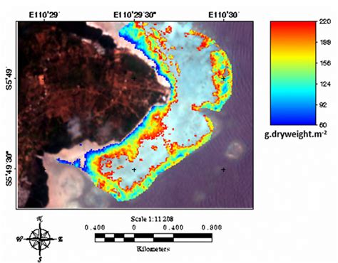 Spatial Distribution And Value Of Seagrass Biomass Using Sentinel 2a At Download Scientific