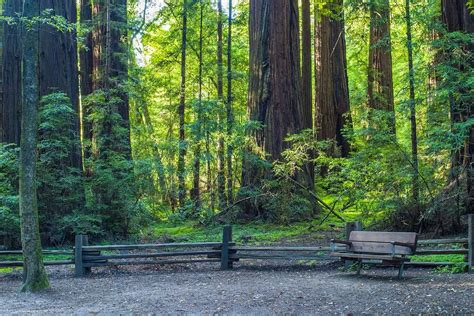 7 Of The Best Walks In Santa Cruz Enjoy Travel