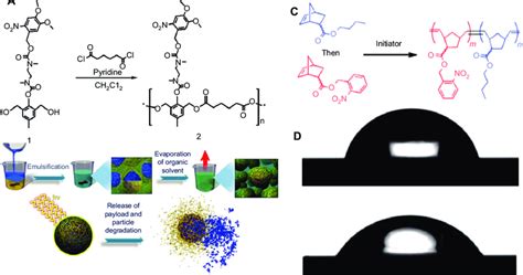 A B Synthesis Of Light Responsive Pendent Nbe Polymer An Download Scientific Diagram