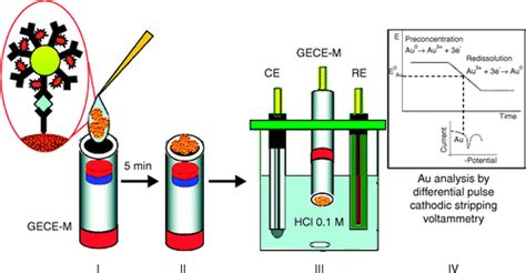 Electrochemical Detection Of Proteins Using Nanoparticles Applications To Diagnostics