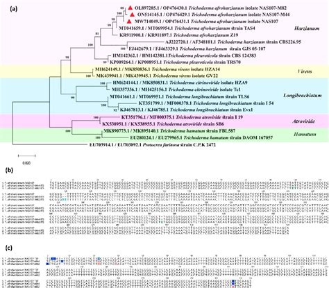 Figure 6 From Creating A Novel Genetic Diversity Of Trichoderma