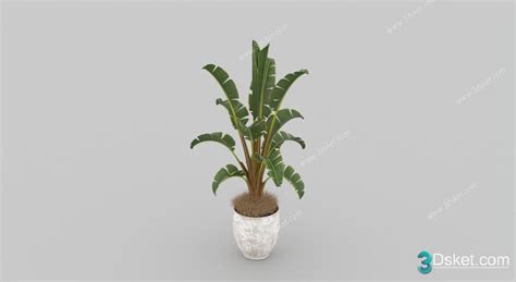 3d Model Tree Free Download T029 Download 3d Model Free 3dskymodel Free 3dsket Interior