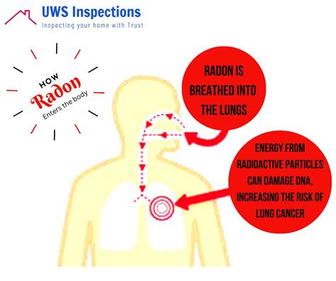 Radon Radonexposure Radoncauseslungcancer Radonisingeorgia United We Stand Property