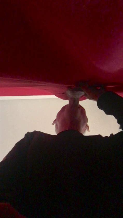 Gh Headmaster Office Worker Takes A Lunch Break Gay Xhamster