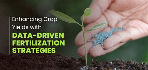Enhancing Crop Yields With Data Driven Fertilization Strategies Khetibuddy