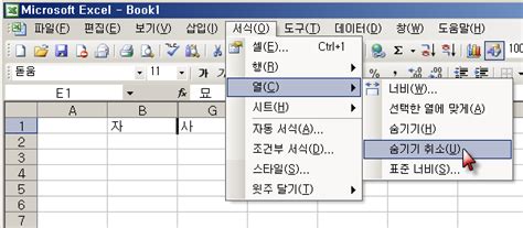 Can Computer And Network Tips Ms Excel 숨겨 놓은 여러 열 중 특정 열만 나타나게 하기