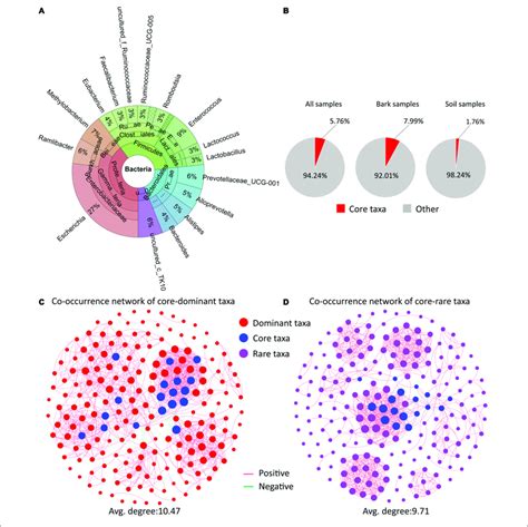 The Interactions Of The Core Microbiota With The Rare Microbiota A Download Scientific