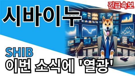 시바이누 코인 긴급 속보 이번 소식에 열광합니다 시바이누전망 도지코인 비트코인 이더리움 코인전망 Youtube