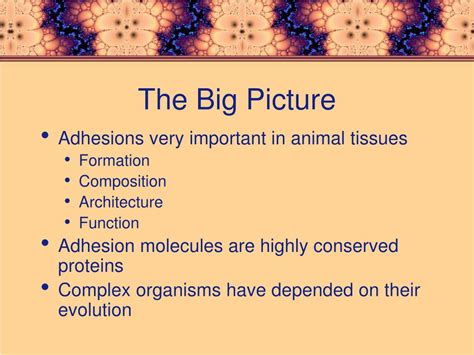Ppt Integrating Cells Into Tissues Powerpoint Presentation Free Download Id 3089461