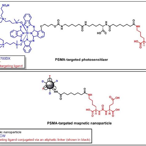 Pdf Prostate Specific Membrane Antigen Psma Targeted Photodynamic