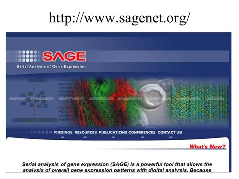 Sage Serial Analysis Of Gene Expression Pptx