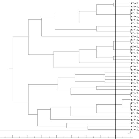 Dendrogram Of Genetic Relatedness Among 82 E Faecalis Strains The