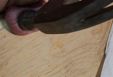 Whitboi Balls Vs Hammer ThisVid Com