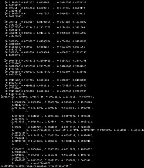 Got Lots Of Nan When I M Trying To Load Weights File Converted From Pth In Opencv DNN Issue