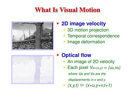 PPT Robust Visual Motion Analysis Piecewise Smooth Optical Flow PowerPoint Presentation ID