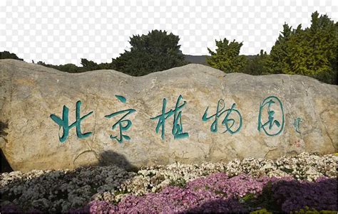 北京植物园PNG图片素材下载 图片编号7863855 PNG素材网