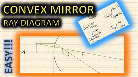 Convex Mirror Ray Diagram Table At Taisha Thomas Blog