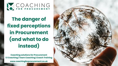 4 How Perception Projection And A Dose Of Curiosity Shape