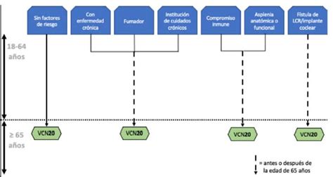 Ramr Volume 24 Number 1 Updated Recommendations For Vaccination In Adults With Respiratory