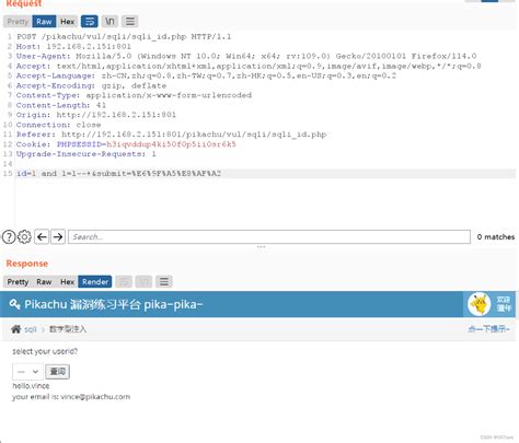 Pikachu靶场通关之sql注入pikachusql注入闯关 Csdn博客 Pikachu靶场通关之sql注入pikachusql注入闯关 Csdn博客