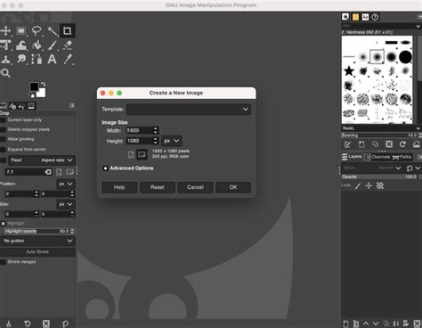 importing image as new layer r gimp