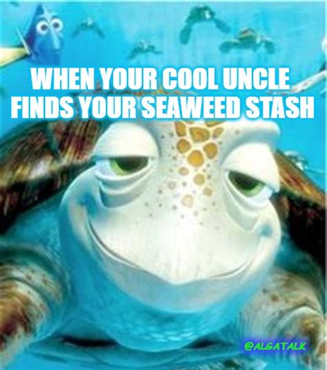 Finding Nemo Memes And S Imgflip